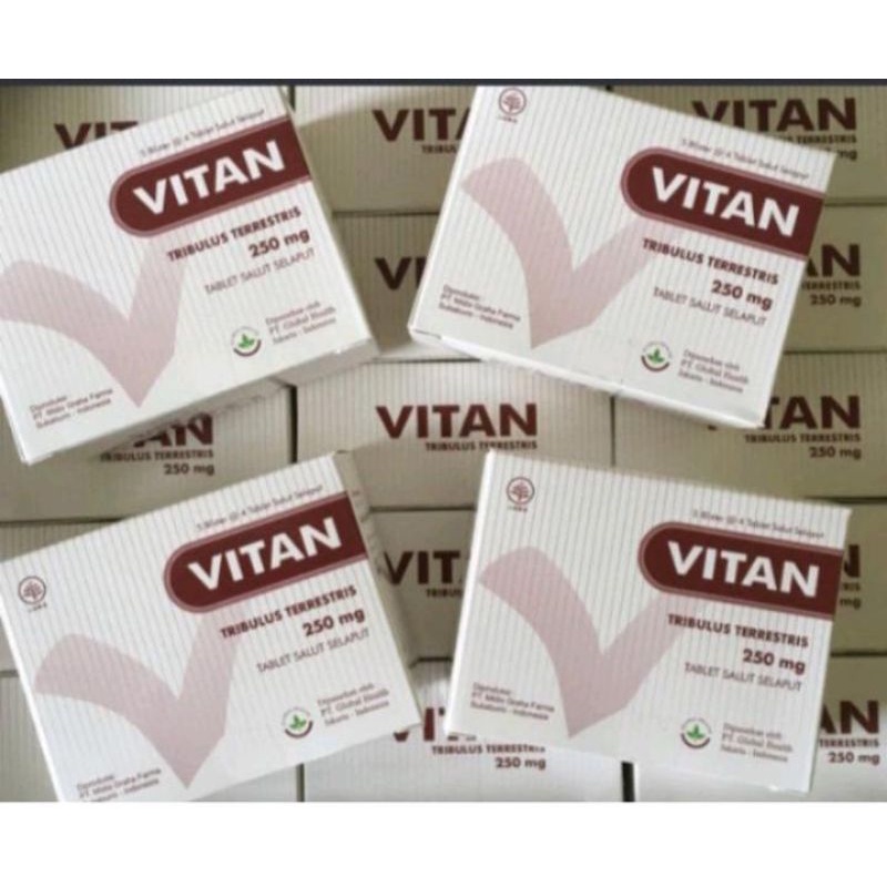 Jual VITAN 250 MG 1 BOX 20 TABLET | Shopee Indonesia