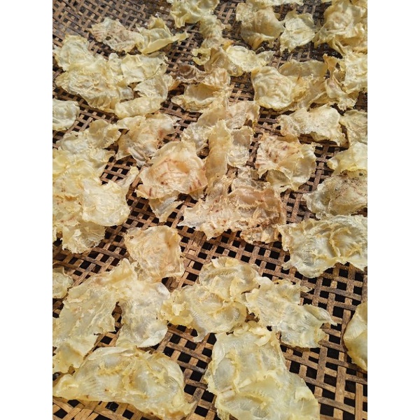 Harga Perut Ikan Hipio Kering Terbaru September 2022 |BigGo Indonesia