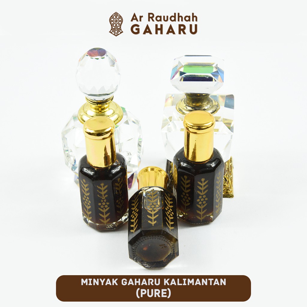 Jual MINYAK WANGI GAHARU KALIMANTAN ASLI (PURE) - AQUILARIA AGARWOOD OUD OIL Indonesia|Shopee ...