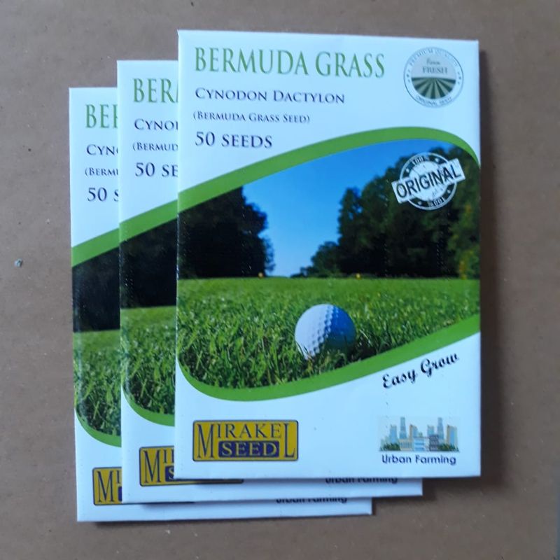 Jual 1 pack benih rumput bermuda grass/rumput goof | Shopee Indonesia