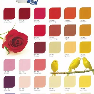 Jual Cat Kayu Ftalit Lemon Yellow 1 kg | Shopee Indonesia