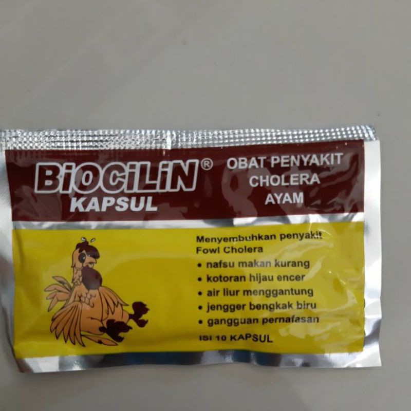 Jual OBAT BERAK ENCER KOLERA CHOLERA AYAM BIOCILIN AMPICILIN AMPISILIN ...