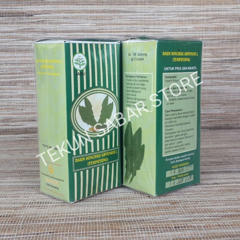 Jual Daun Tempuyung Kering Gulung Untuk Jamu Batu Ginjal dan Batu ... Jual Daun Tempuyung Kering Gulung Untuk Jamu Batu Ginjal dan Batu ...