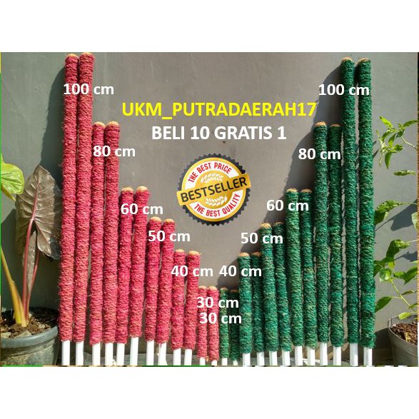 Jual TURUS PENYANNGGA TANAMAN 60 CM, 80 CM DAN 100 CM | Shopee Indonesia
