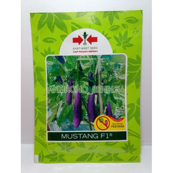 Jual Benih Terong Ungu Mustang F1 1100 Butir || Cap Panah Merah | Shopee Indonesia