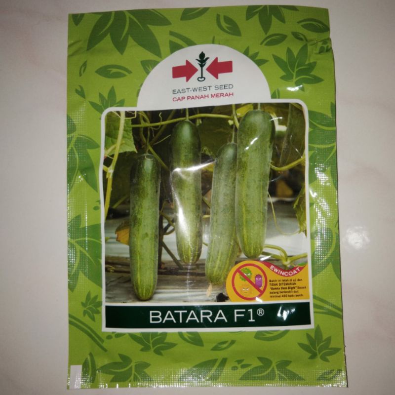 Jual BENIH TIMUN/MENTIMUN BATARA HIBRIDA F1 20GR | Shopee Indonesia