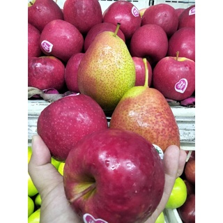 Jual pear forelle / pir forelle / pir manis 1kg | Shopee Indonesia