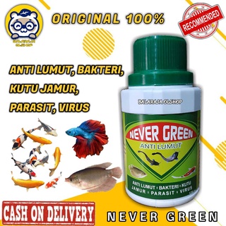 Jual OBAT AKUARIUM ANTI LUMUT PENGHILANG BAU AIR KOLAM IKAN AIR ...