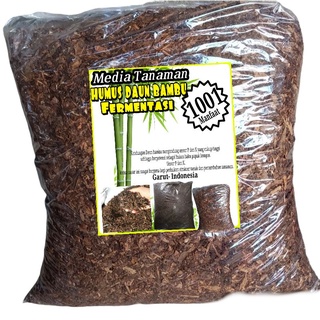 Jual HUMUS DAUN BAMBU FERMENTASI/MEDIA TANAMAN /PUPUK/ALAMI kiloan ...