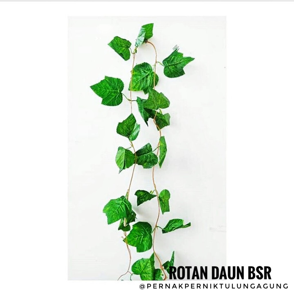 Jual Daun Rotan - Daun Rambat Dekorasi Pesta Acara Wedding Engagement ...