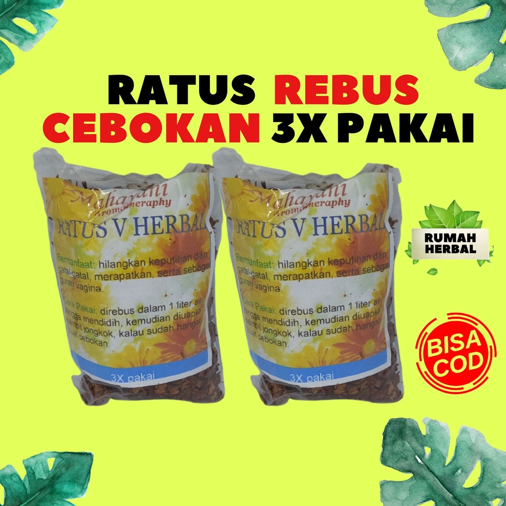 Jual Ratus Rebus Ratus V Cebokan | Shopee Indonesia