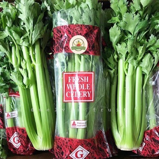 Jual Celery Stick Import / Seledri Stick Import (Australia) Indonesia ...