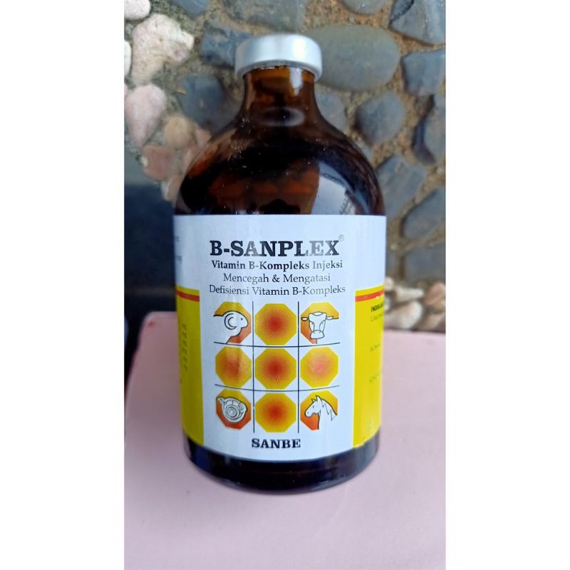 Jual B-SANPLEX inj 100 ml BSANPLEX Vitamin B Sapi Kuda Babi Kambing ...