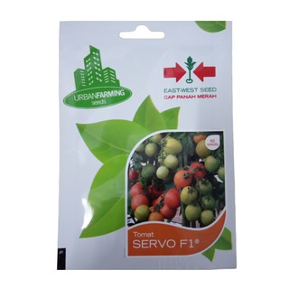 Jual Cap Panah Merah Benih Tomat Urban Farming | Shopee Indonesia