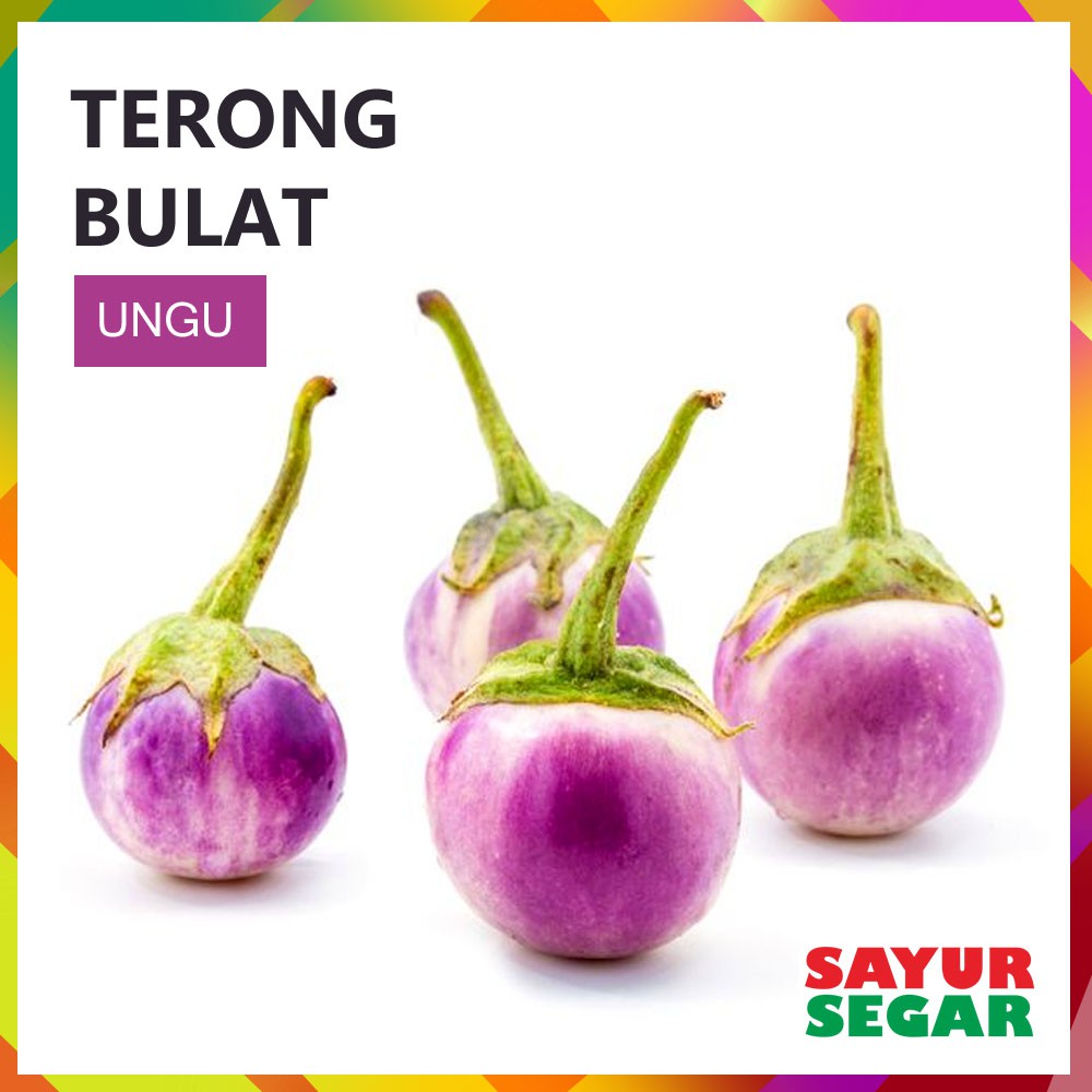 Jual Terong Bulat Ungu 250g Shopee Indonesia
