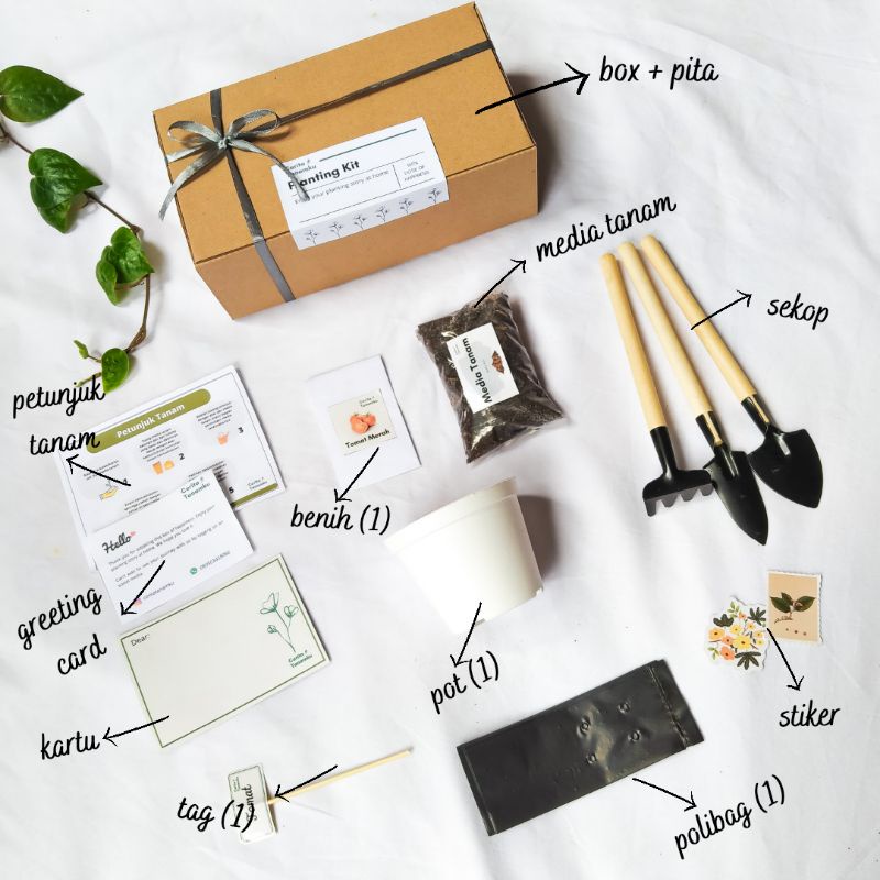Jual Small Planting Kit / Grow kit / Gardening Kit / Paket menanam ...