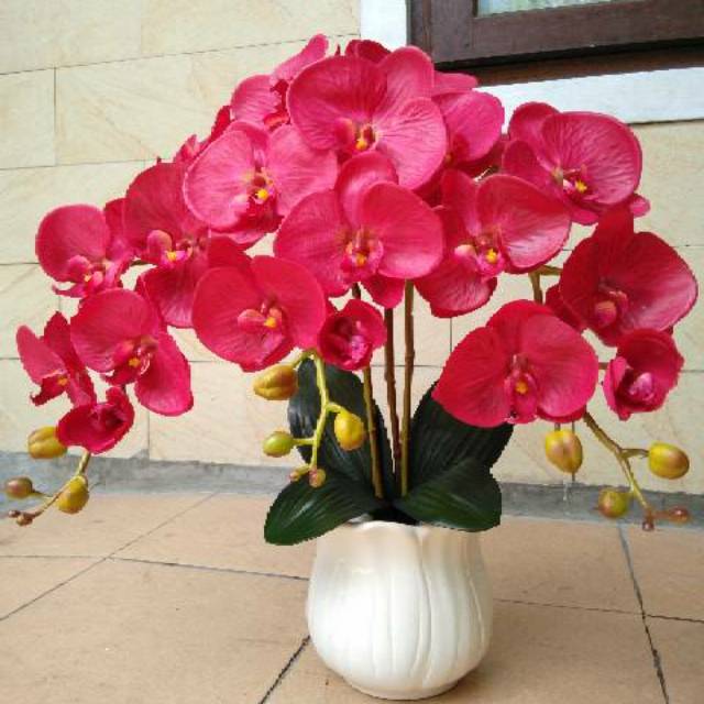 Catat! Gambar Bunga Anggrek Merah yang Wajib Diketahui - Informasi ...