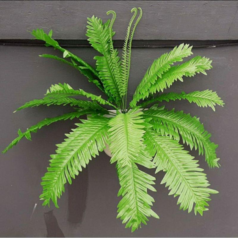 Jual daun hias tanaman hias daun plastik hiasan dinding daun paku hias ...