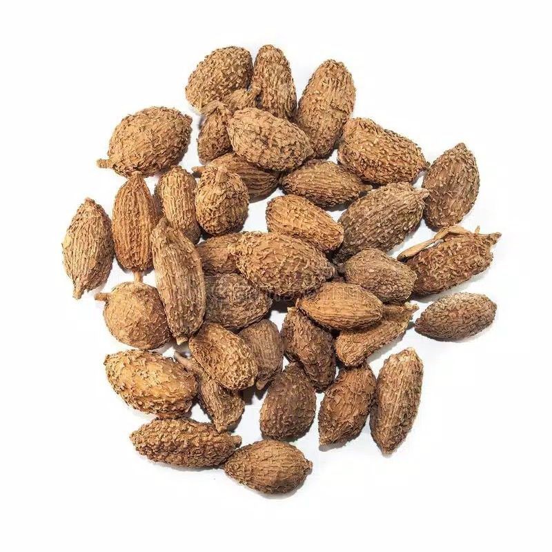 Jual ke Sha ren amomi fructus 100 gram | Shopee Indonesia