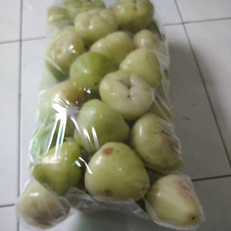 Jual Klampok Jambu air segar minim order 3 kg@ | Shopee Indonesia