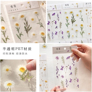 Jual STICKER TRANSPARENT PET DAISY FLOWER AESTHETIC STIKER TRANSPARAN ...