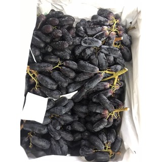 Jual Buah Anggur Blue Sweet Sapphire Grape Moondrop Koala anggur terong ...