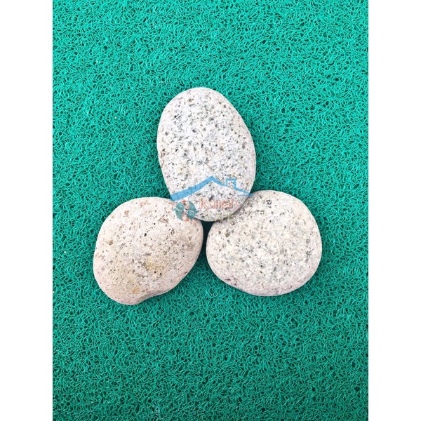 Jual river stone batu terrarium aquascape aquarium predator | Shopee ...