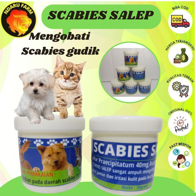 Jual OBAT SCABIES KUCING KELINCI SALEP AMPUH NDARUFRAM | Shopee Indonesia