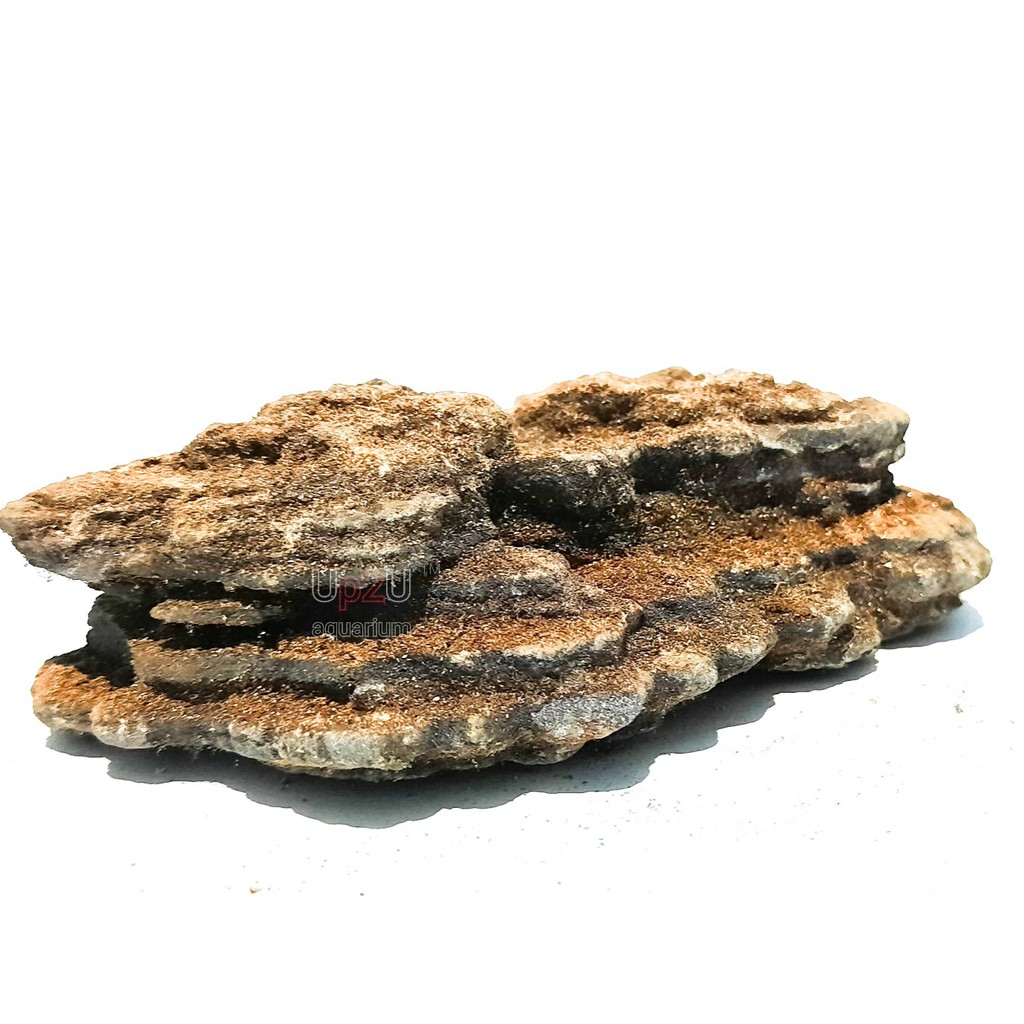 Jual Batu Besi IronStone Aquarium Aquascape Kiloan | Shopee Indonesia