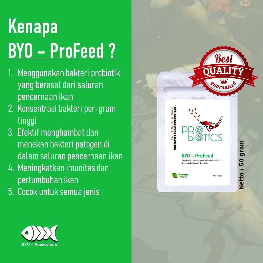 Jual Suplemen Pakan Ikan / Probiotik Pakan Ikan - BYO - ProFeed 50 gr ...