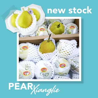 Jual Pear Pir Hijau Xiang Lie, Xiangli, Manis Crunchy Juicy harga per ...
