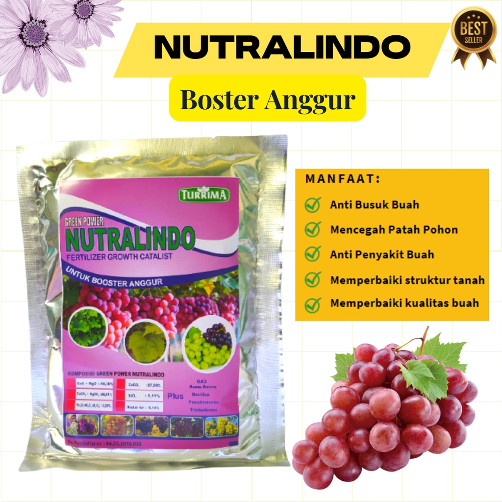 Jual Pupuk anggur supaya berbuah lebat, booster anggur terbaik, Booster Buah Anggur Buah Tumbuh ...