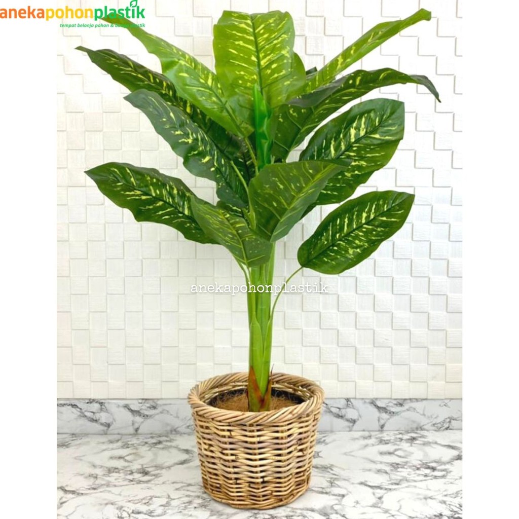 Jual Pohon Plastik Daun Sri Rejeki Latex Cover Keranjang Rotan Tanaman ...