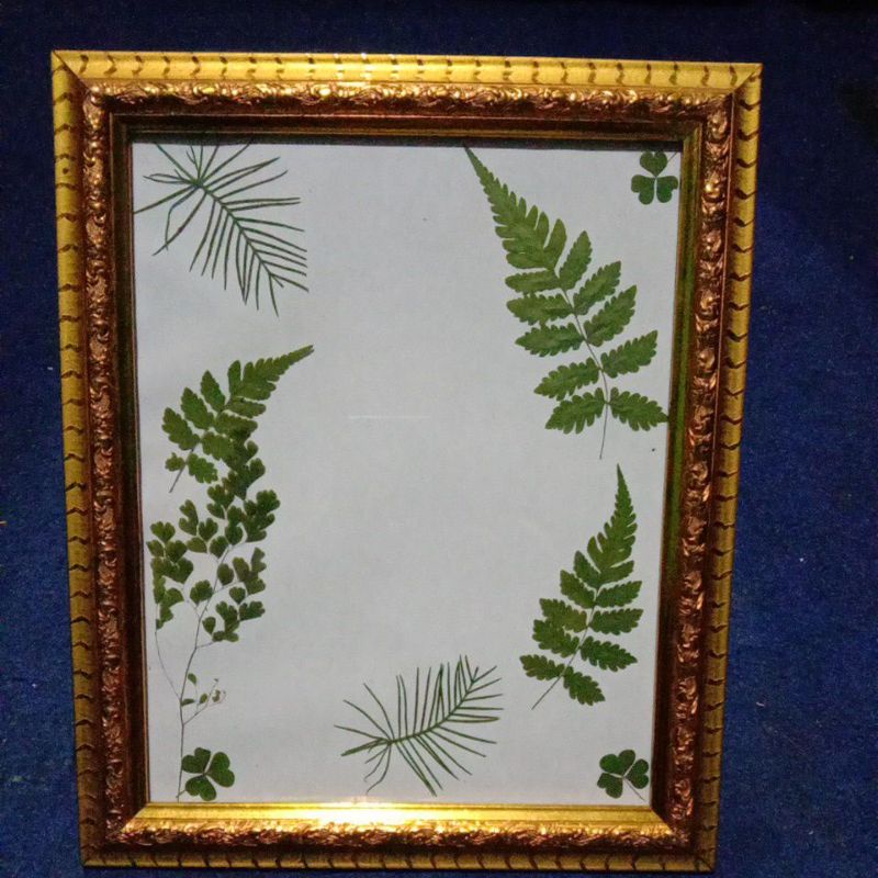 Jual Bingkai Foto Kolase Gulma/Rumput Indonesia|Shopee Indonesia