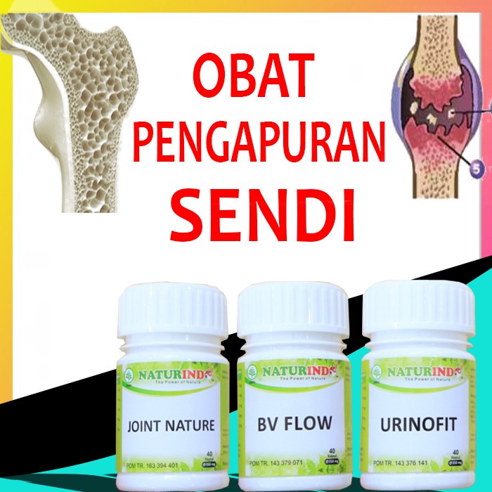 Jual Obat Herbal Pengapuran Sendi/Radang Pengapuran Tulang Tulang ...