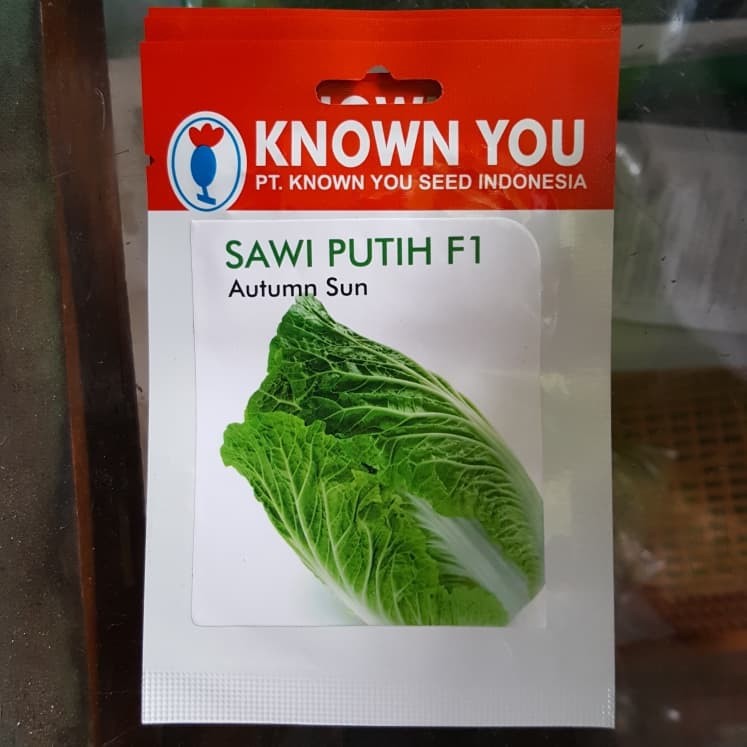Jual benih / bibit sawi putih F1 (Known You Seed) | Shopee Indonesia