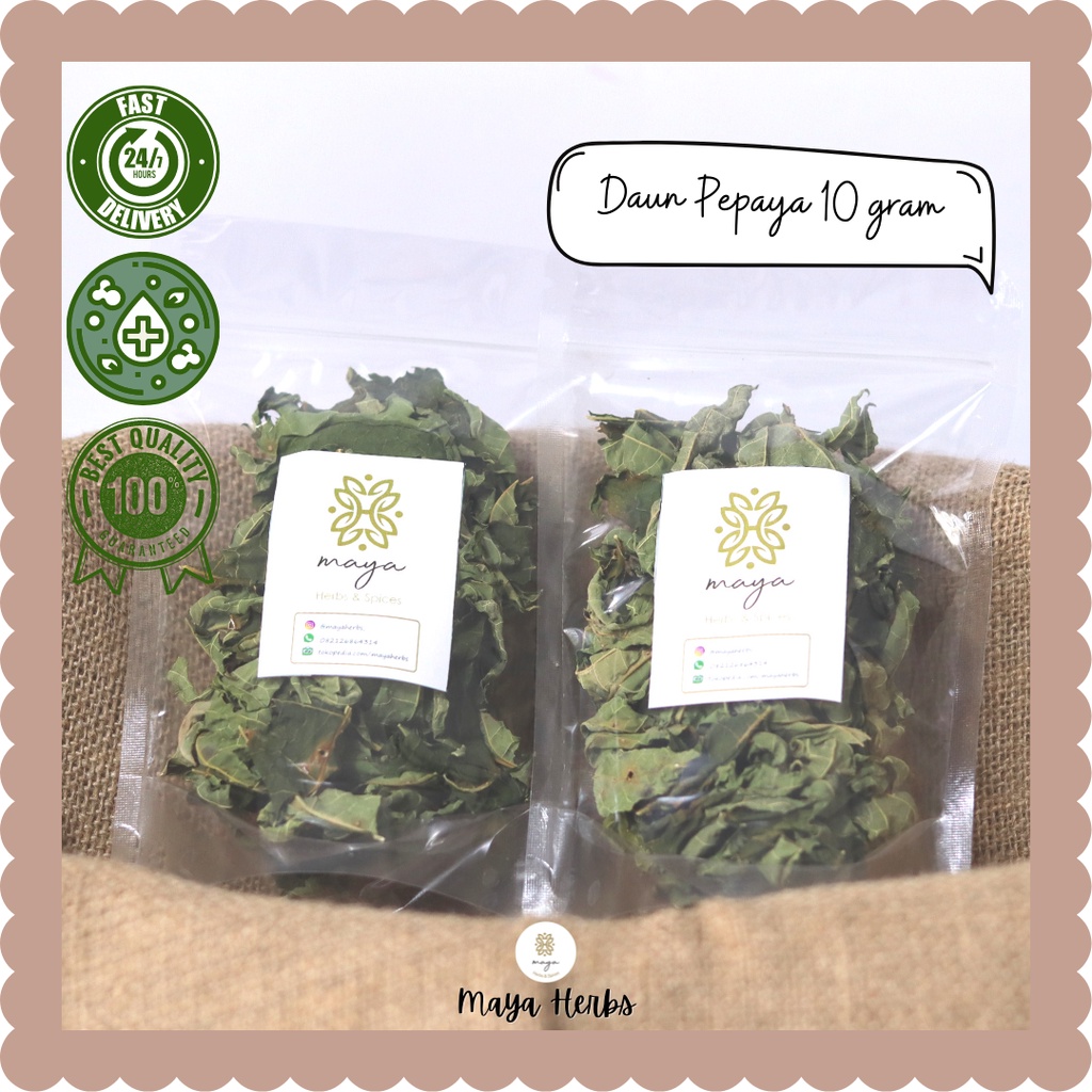 Jual Daun Pepaya / Gedang / Kates Kering 10 gram ( Carica Papaya ... Jual Daun Pepaya / Gedang / Kates Kering 10 gram ( Carica Papaya ...