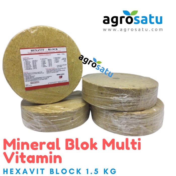 Jual Mineral Blok Hexavit 1.5Kg Garam Multivitamin Sapi Kambing Domba ...