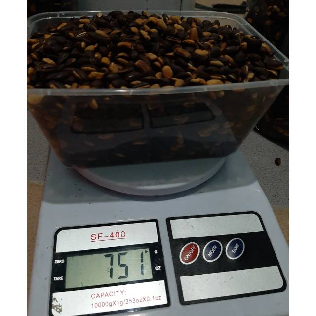 Jual 700gr BIJI TREMBESI / MUNGGUR / GODRIL GORENG SANGAN SANGRAI ...