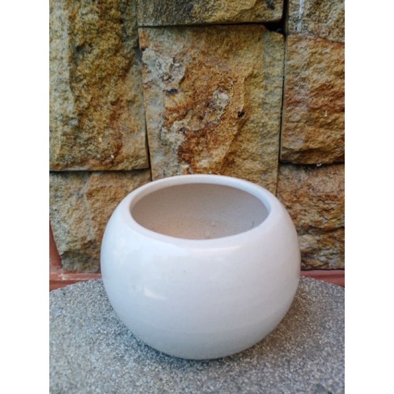 Jual POT KERAMIK KAKTUS PUTIH / pot putih /pot keramik murah | Shopee ...
