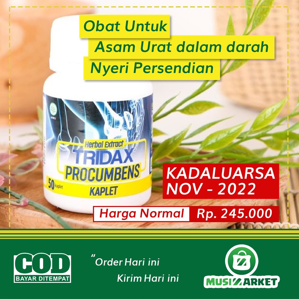 TRIDAX PROCUMBENS KAPLET | Obat Nyeri Sendi dan Asam Urat | Shopee ...