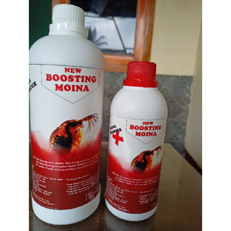 Harga moina Terbaru Feb 2026 | BigGo Indonesia