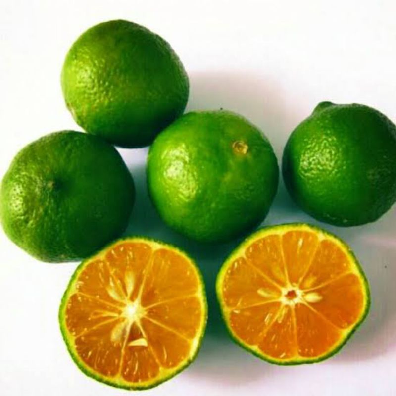 Jual jeruk kunci sonkit kalamansi alamonde lemon cui kasturi 500gr ...
