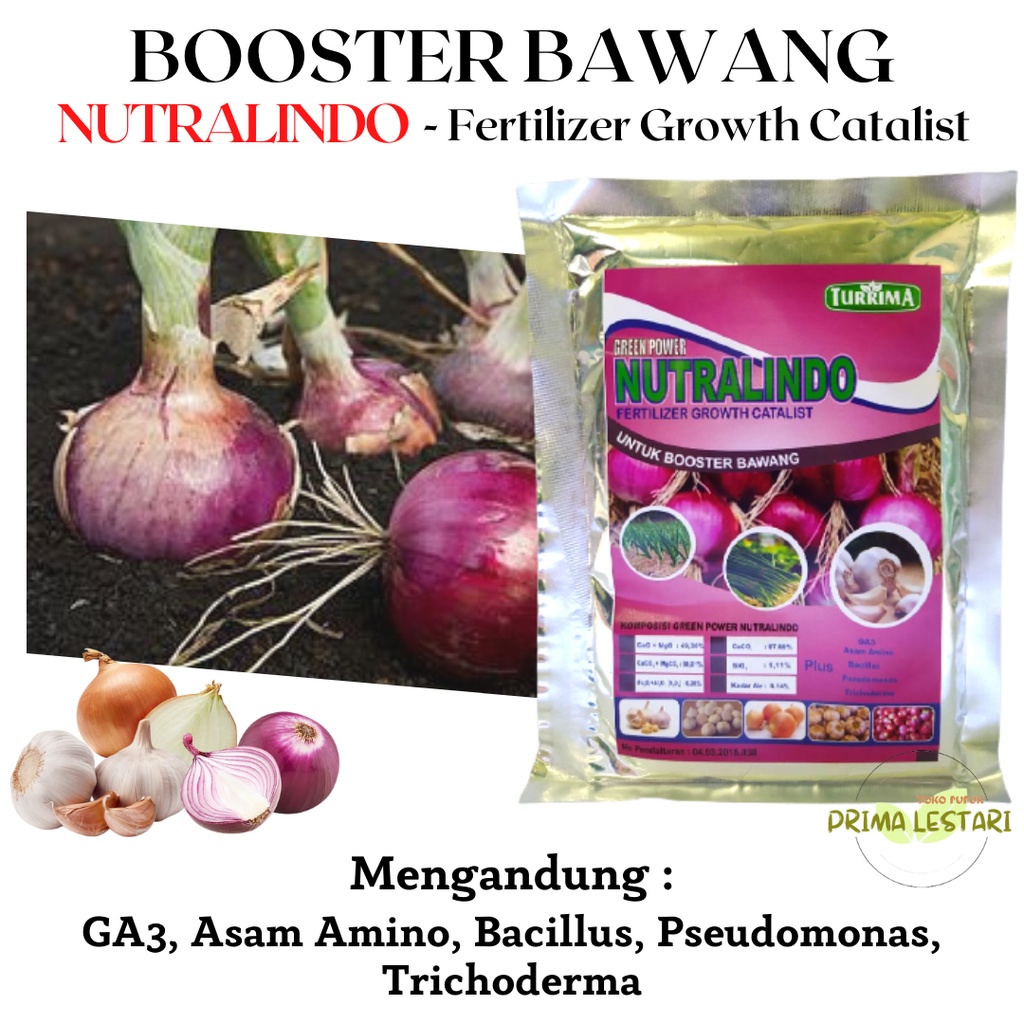Jual Pupuk Perangsang Umbi Bawang, Pupuk Tanaman Bawang Merah Cepat Besar, Pupuk Bawang Merah ...