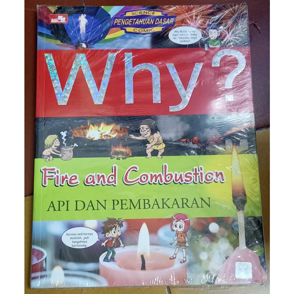Jual Why? Fire And Combustion | Shopee Indonesia