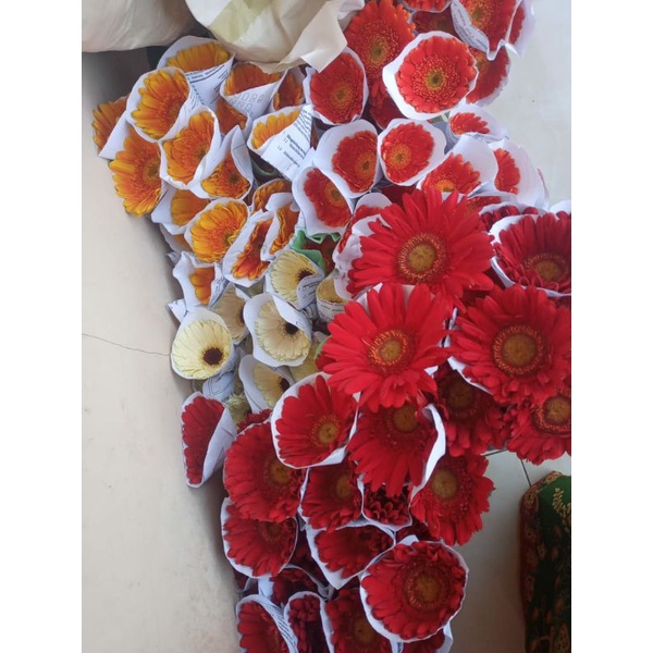 Jual bunga potong Garbera (Herbras) varian warna | Shopee Indonesia