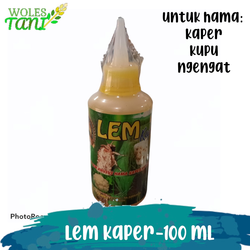Jual Lem Hama Lem Kaper 100 ml Lem Kupu | Shopee Indonesia