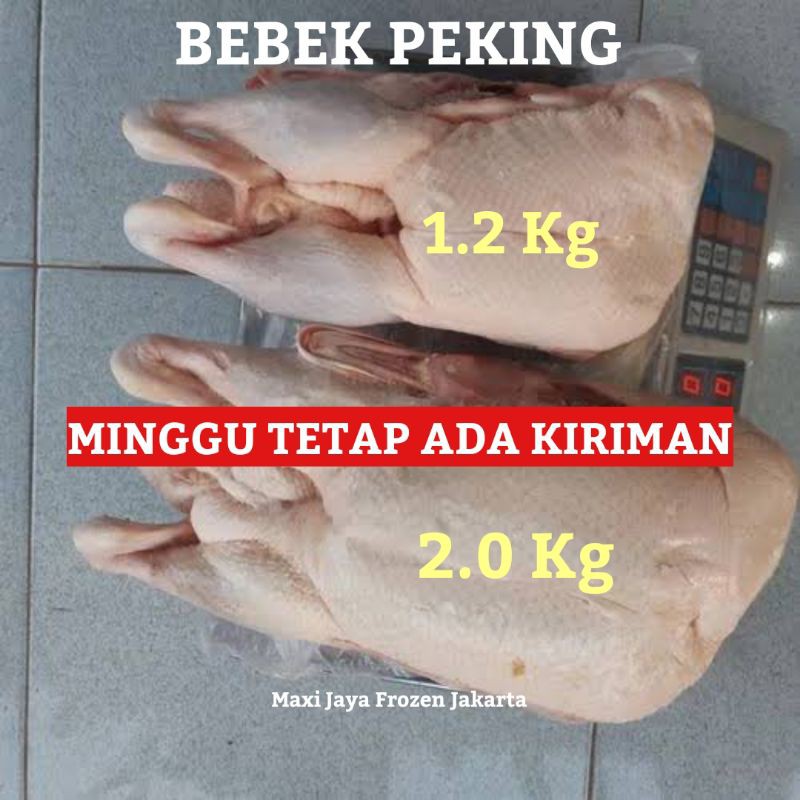 Jual Bebek Peking Super 2.2 Kg / 2 Kg / 1.1 Kg Bebek Frozen Daging ...