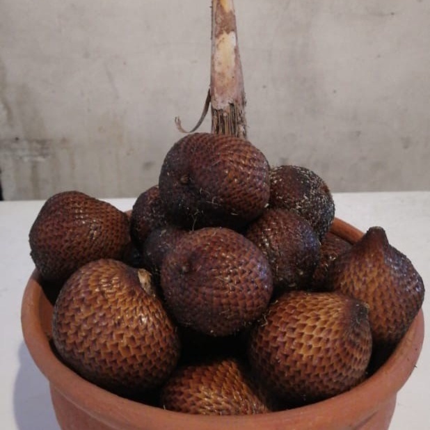 Jual Salak Gula Pasir | Shopee Indonesia