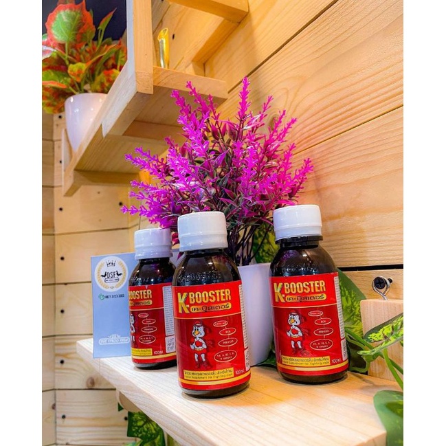 Jual Kbooster 100ml (ORIGINAL) | Shopee Indonesia